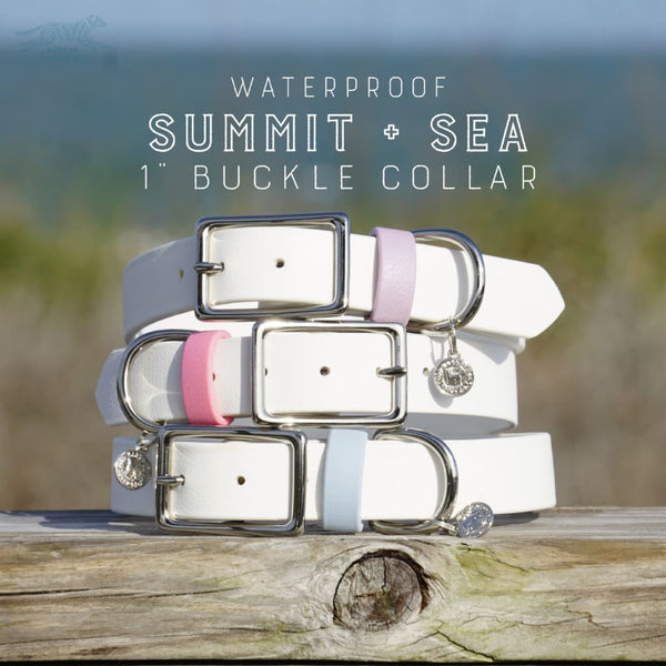 Collars - Harbor Hound Co.