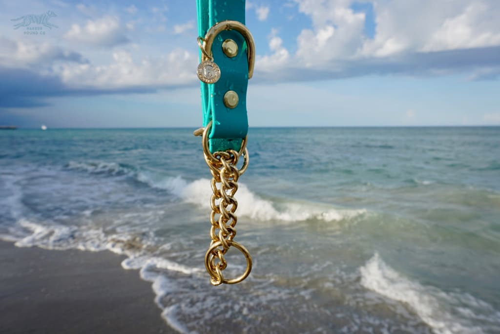 Harbor Hound Co. - 1 Waterproof Martingale Collar