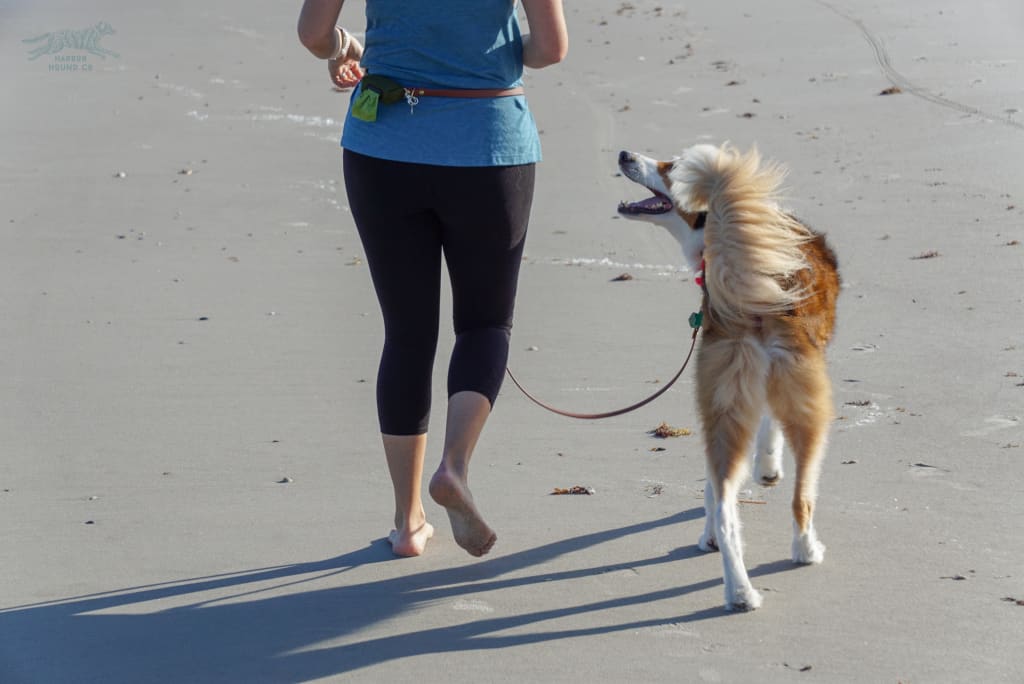 Harbor Hound Co. - The ODYSSEY The Original Dual-Ring Adjustable Leash